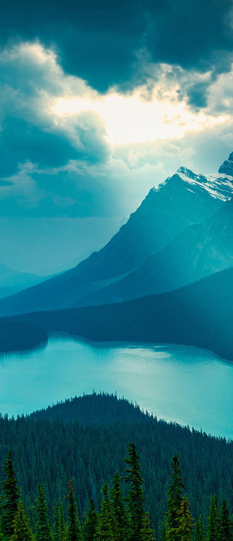 BrandOps Creative – Your Brand Implementation Partner