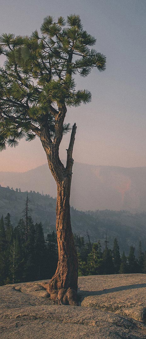 BrandOps Creative – About