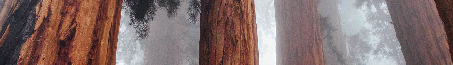 BrandOps Creative – About