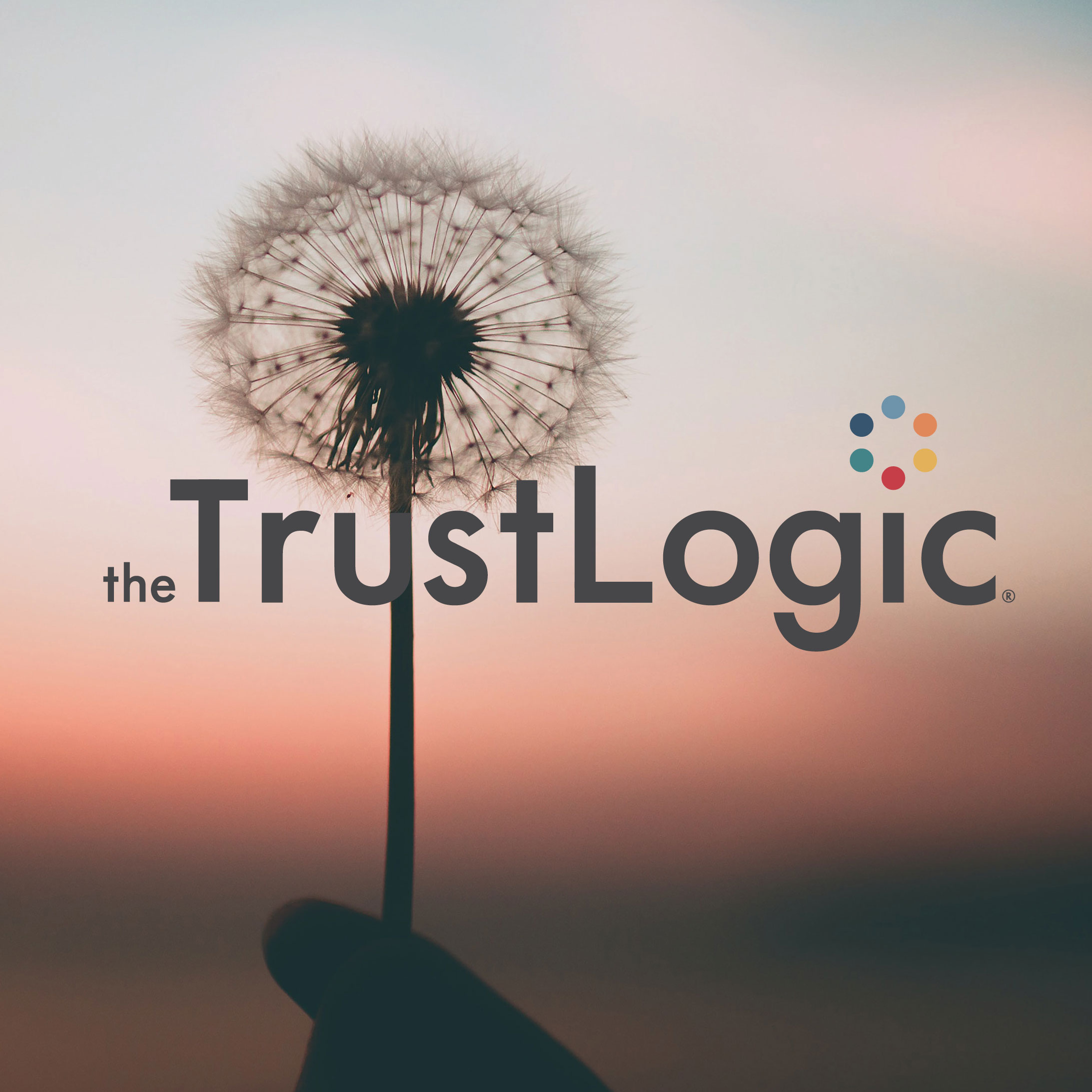 BrandOps Creative – Our Work