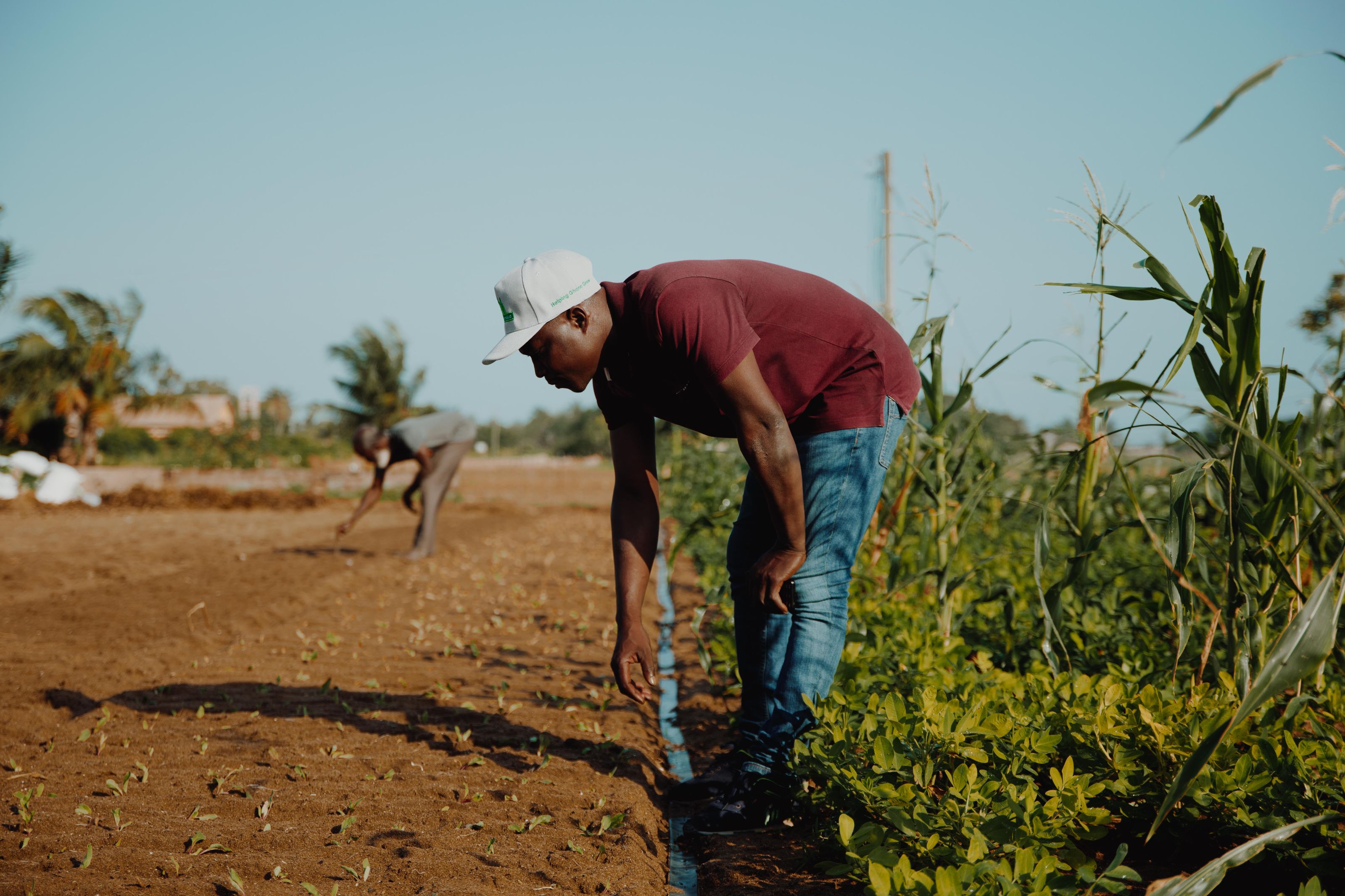 Demeter Ghana - Helping Ghana Grow