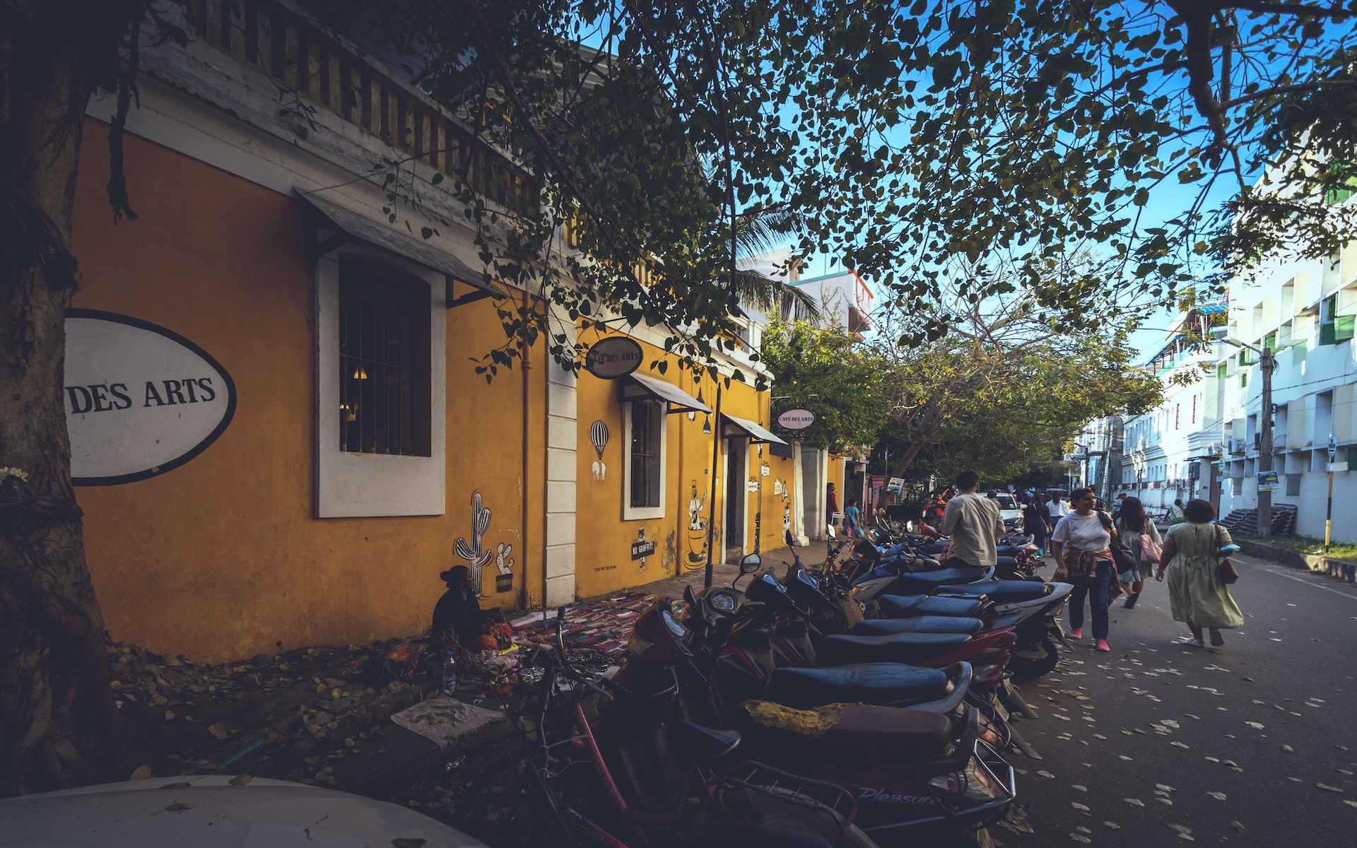 20 Best Places in Auroville & Pondicherry for Digital Nomad, Selected ...