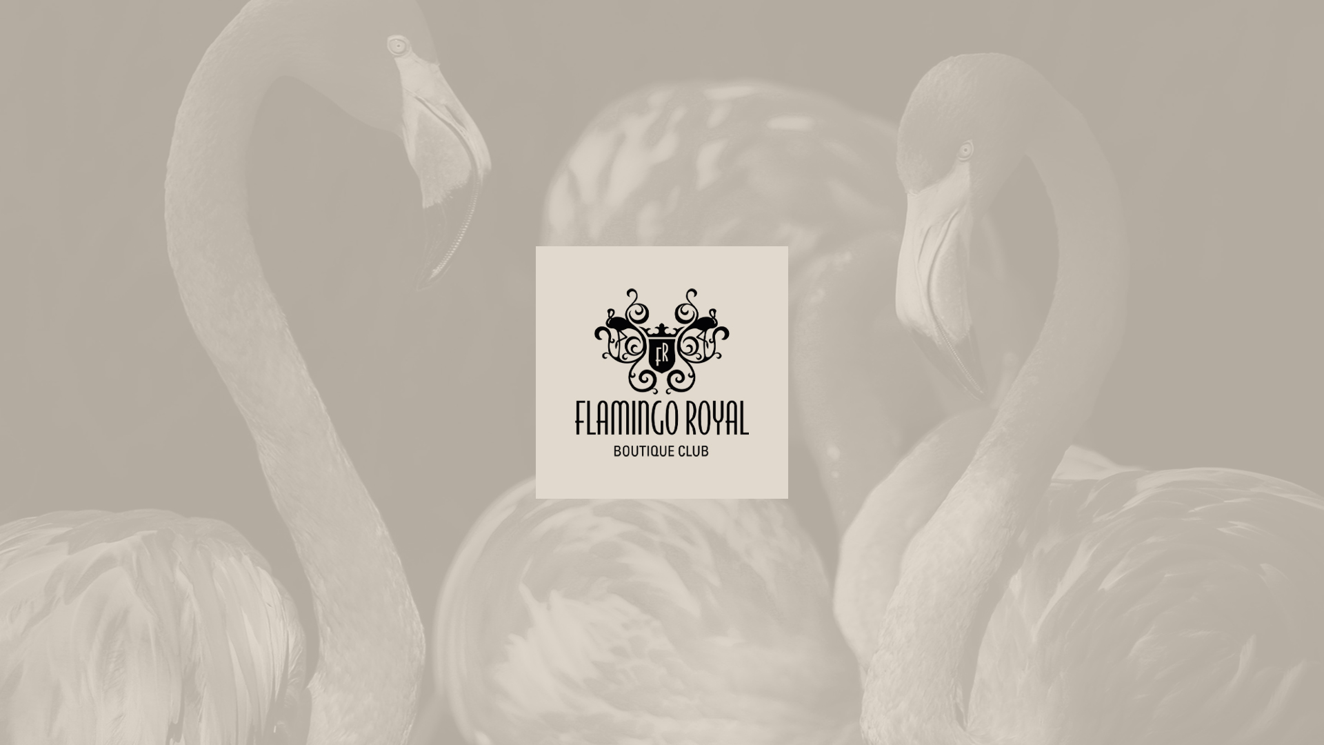 University Of Flamingo - May 31, 2023 at Flamingo Royal