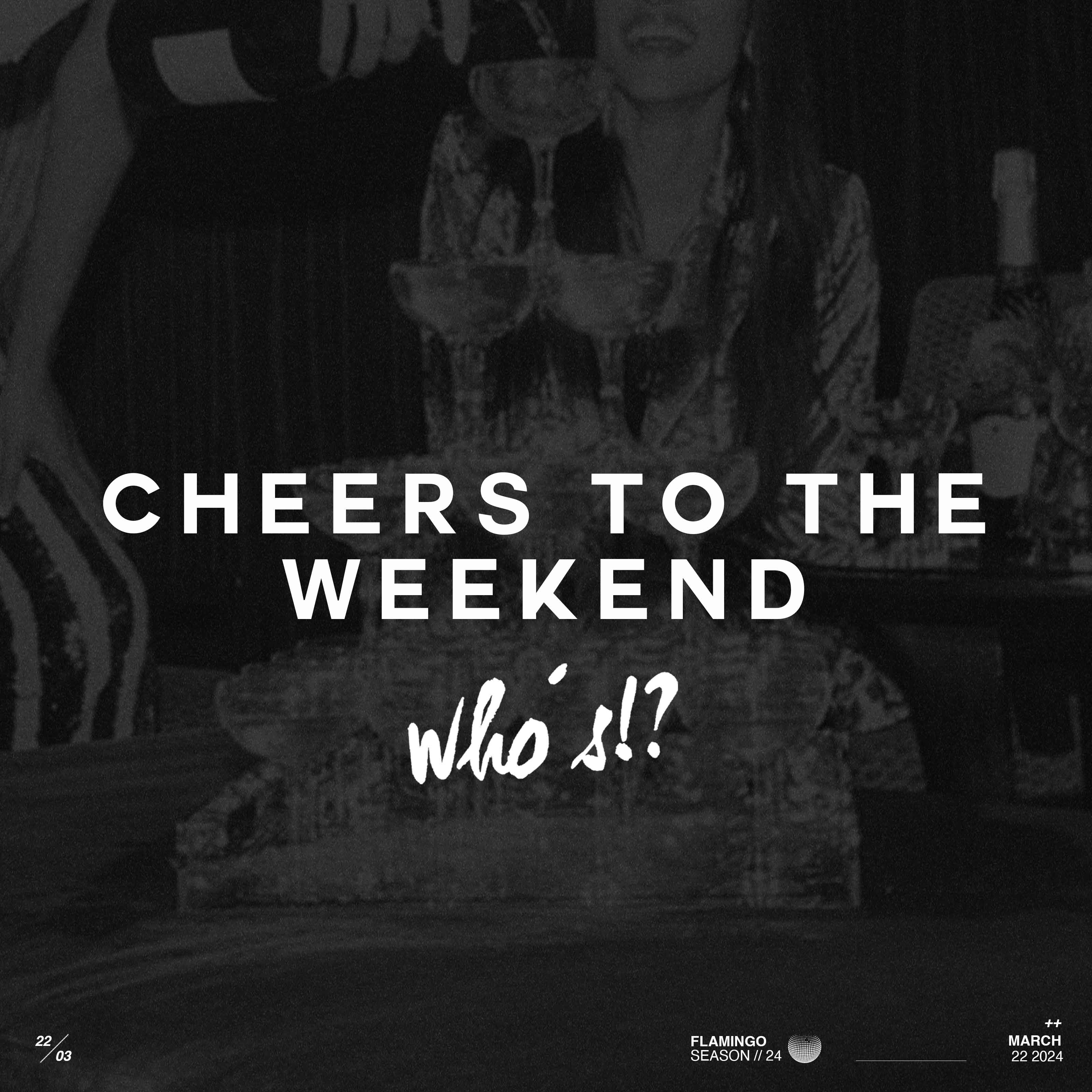 Flamingos Saturday - Mar 02, 2024 at Flamingo Royal