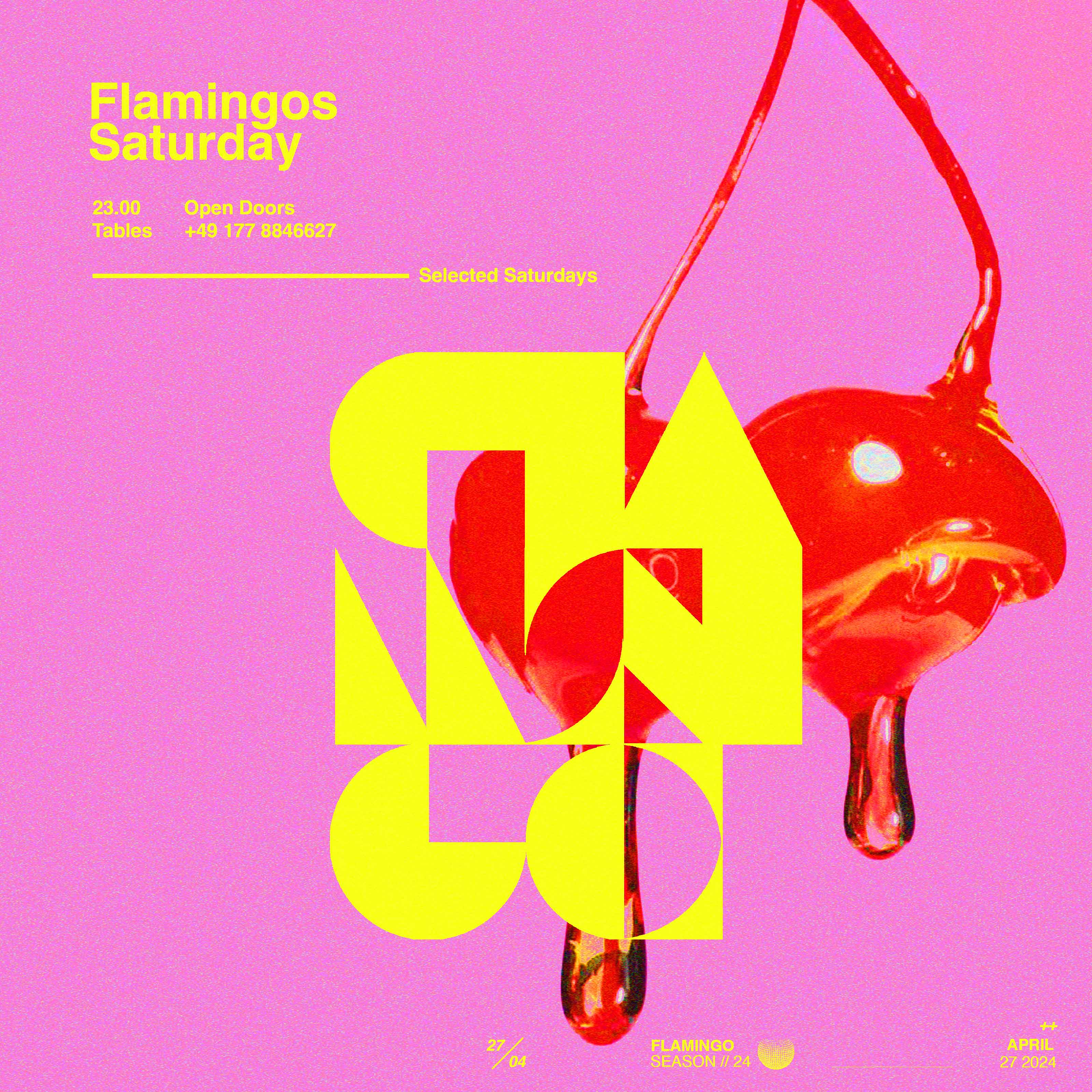 University of Flamingo - Oct 11, 2023 at Flamingo Royal