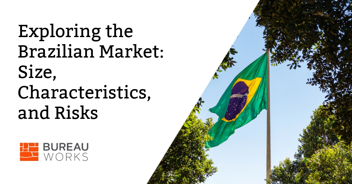 Exploring the Brazilian Market: Size, Characteristics, and Risks
