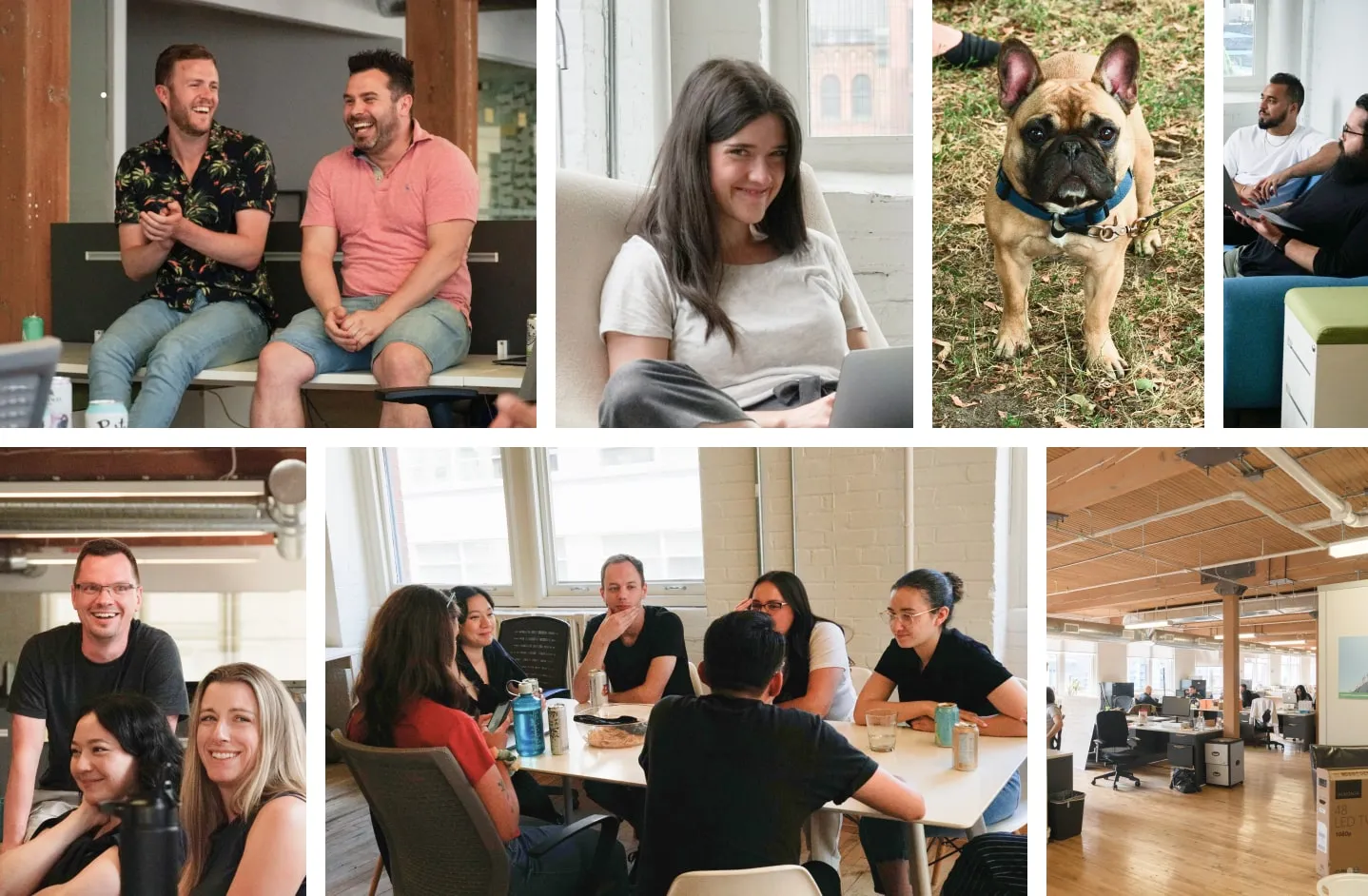 Careers | Collage HR