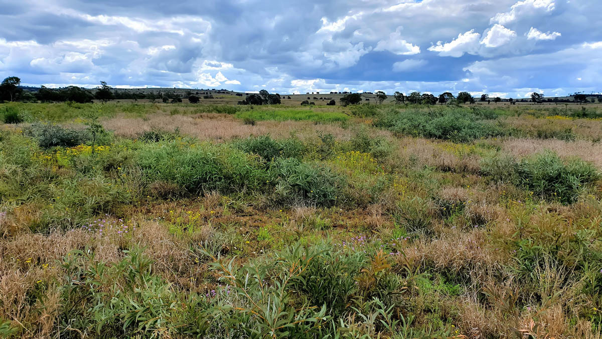 South Queensland Renewable Generation Hub (SQRGH)