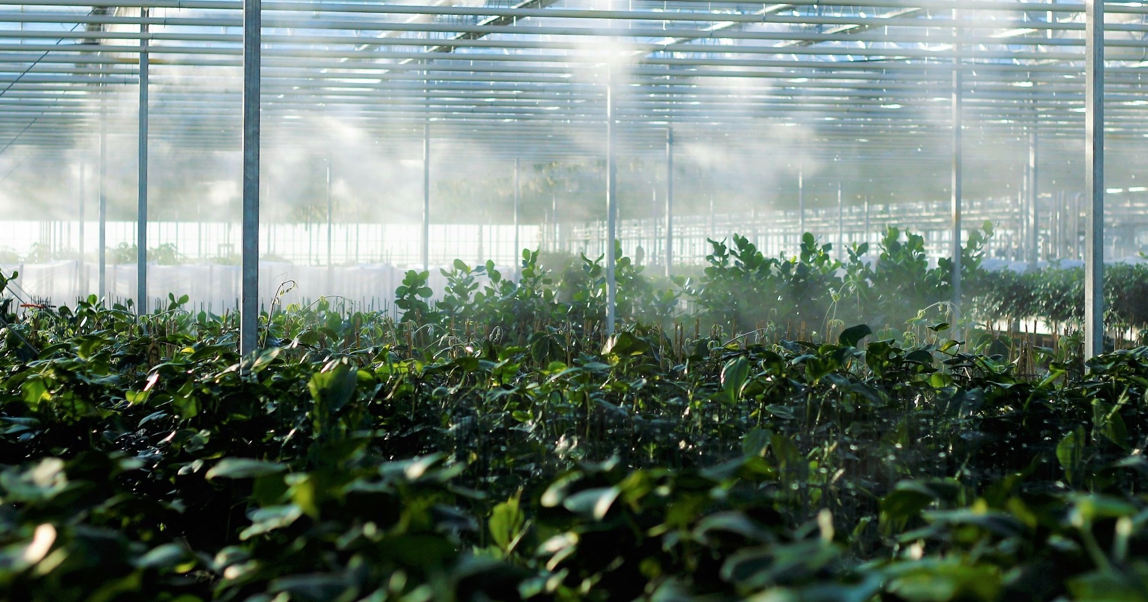 TED Countdown | Can we nourish 10 billion people while restoring the Earth?