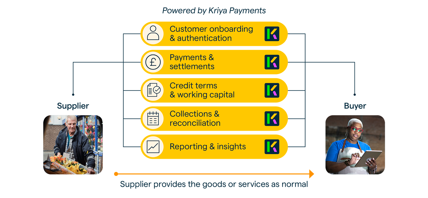 Multichanel Payments | Offer Flexible B2B Trade Credit | Kriya