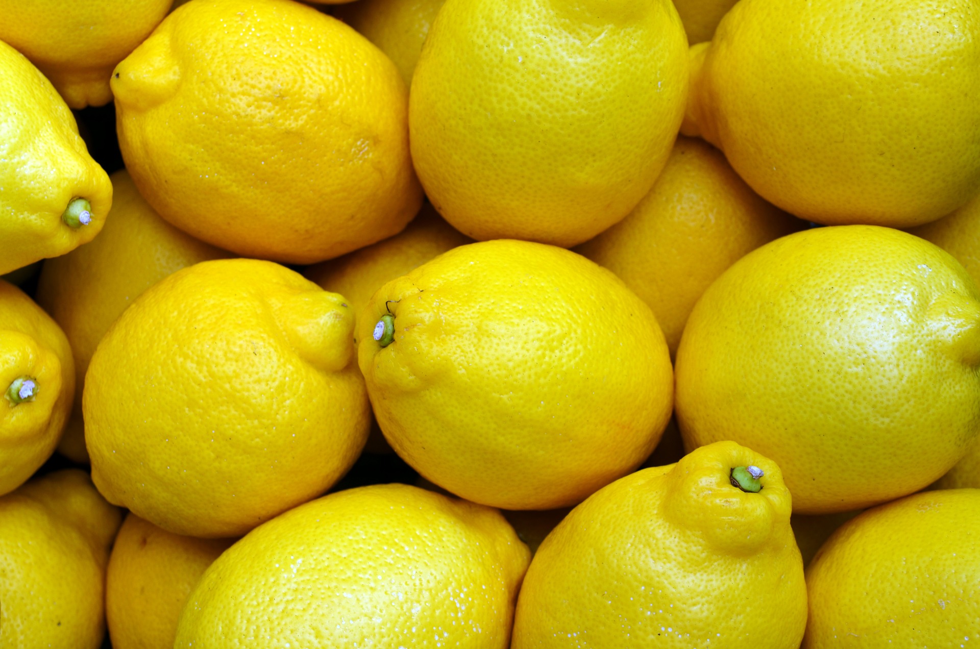Le citron : un superaliment méconnu présent dans toutes les cuisines