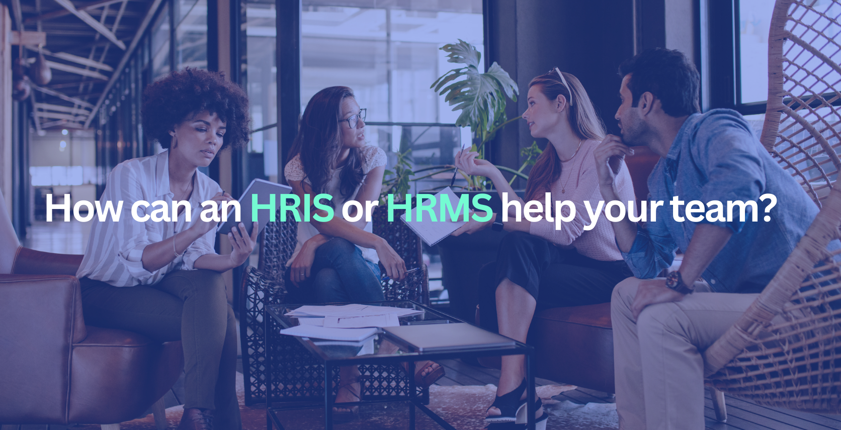 How can an HRIS or HRMS help your team? | Collage Blog
