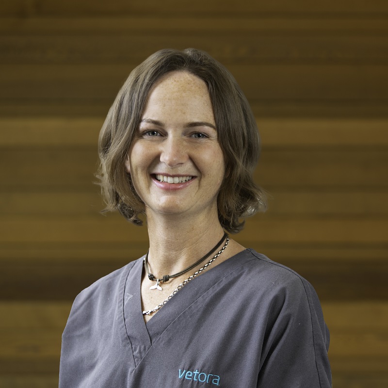 Meet The Team | Vetora Cambridge Clinic | Vetora NZ