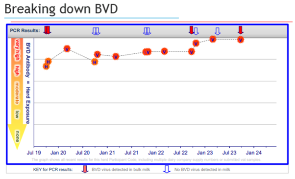 The BVD (Bovine Viral Diarrhoea) bulk milk results will have no doubt ...