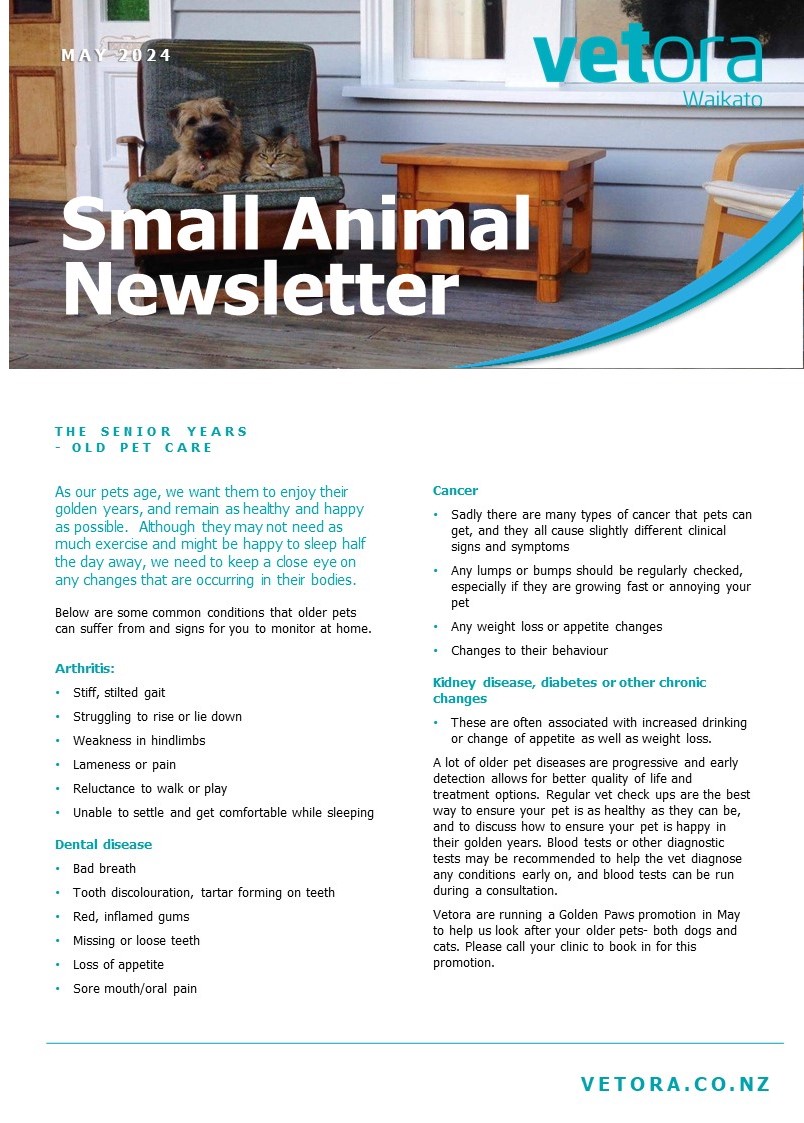 Download your copy here..