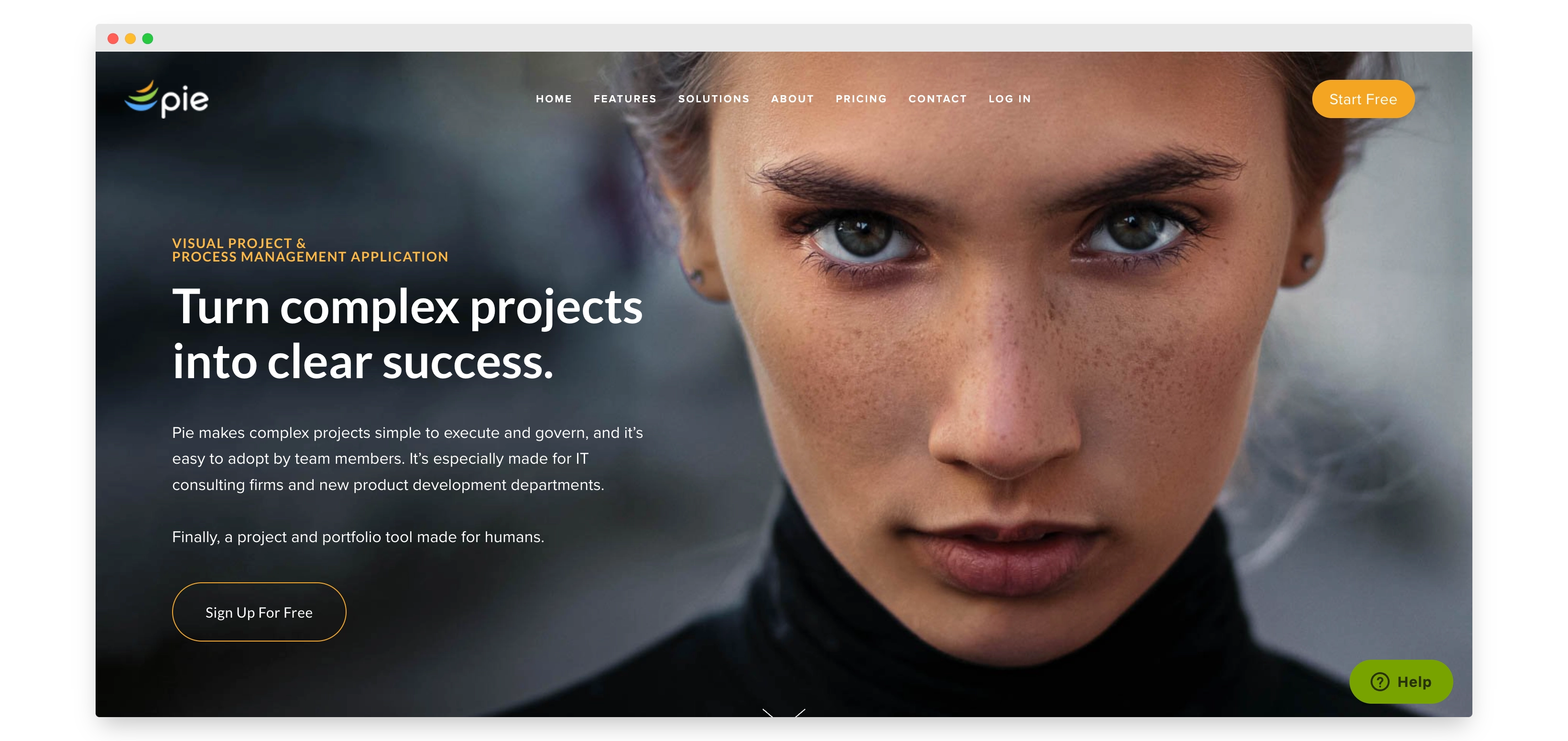 Project Management Software: All you need to know (in 2023) | Fluid
