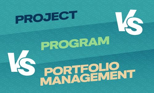 Project vs program vs portfolio management | Fluid