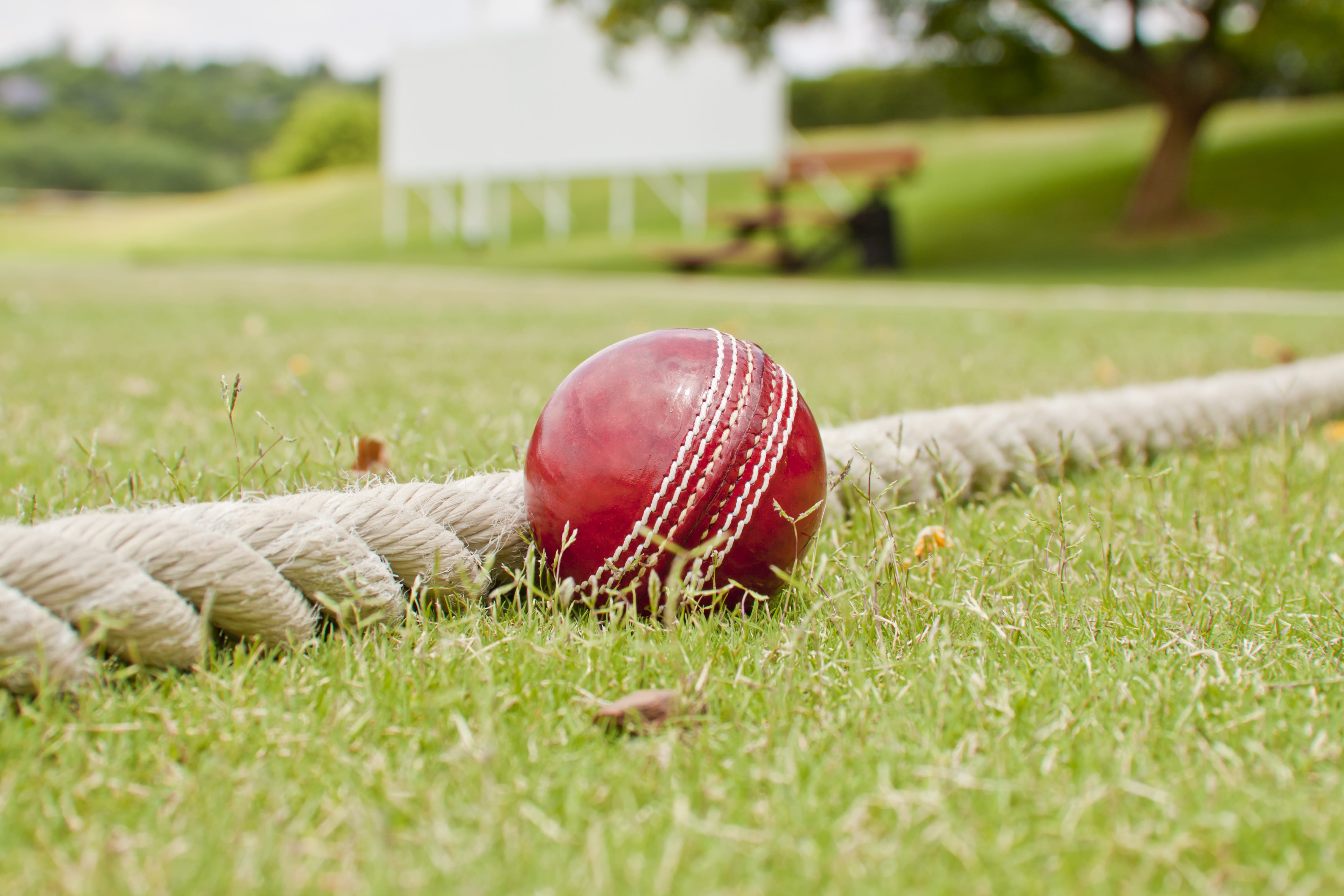 Club cricket in the UK – Blog | Limitless Sports Management