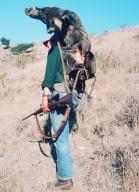 Going Hog Wild | Craig Boddington