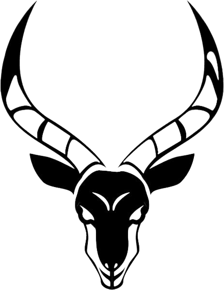 Black Faced Impala - Book an Endorsed Hunt