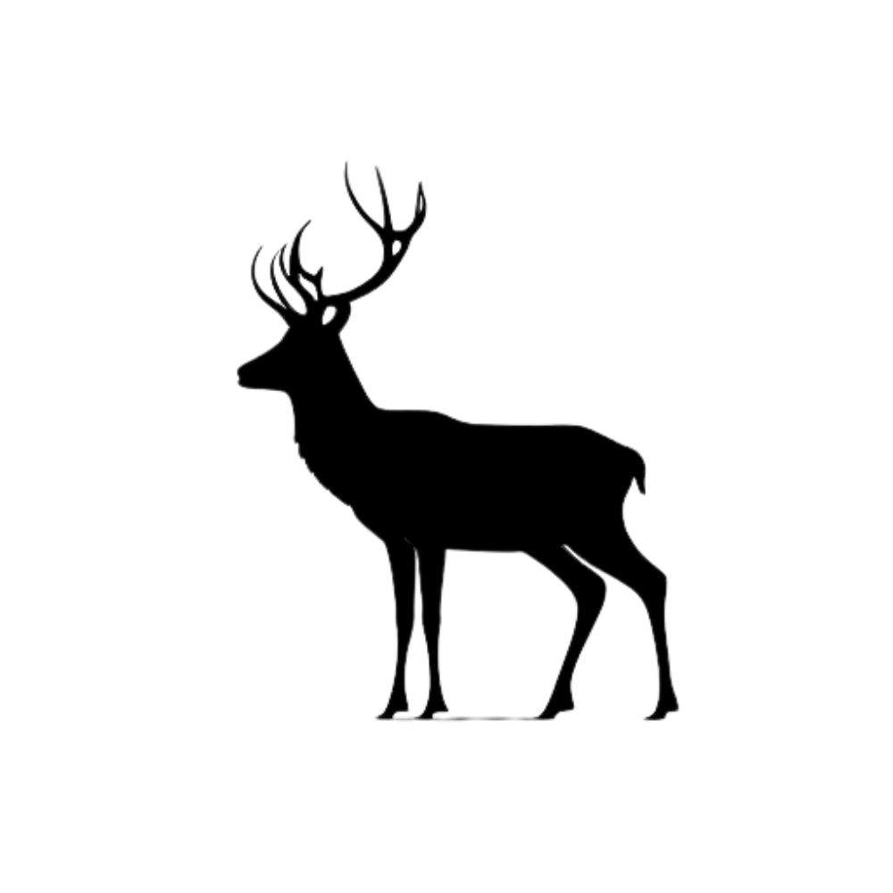 Anatolian Red Deer - Book an Endorsed Hunt