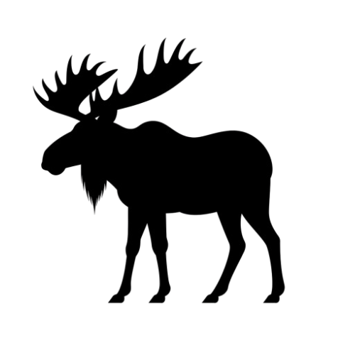 Canadian Moose - Book an Endorsed Hunt