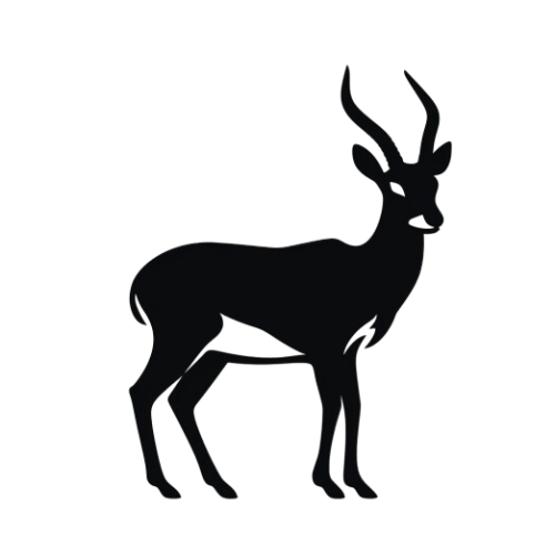 Common Springbuck - Book an Endorsed Hunt