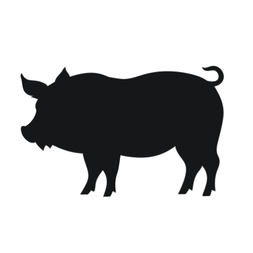 Hog - Book an Endorsed Hunt