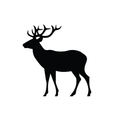 Iberian Red Deer - Book an Endorsed Hunt