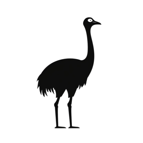 Ostrich - Book an Endorsed Hunt
