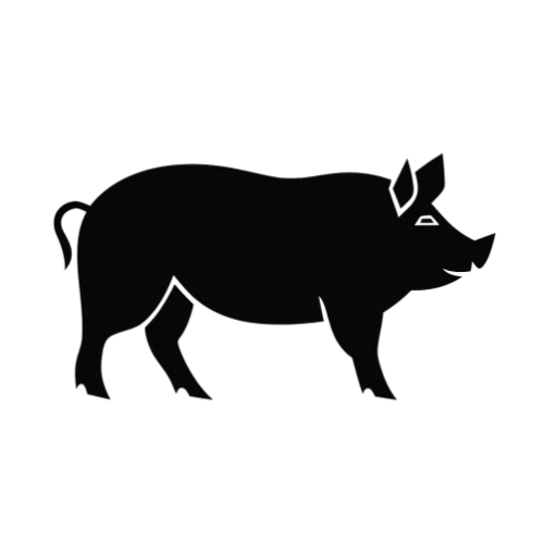Pig - Book an Endorsed Hunt
