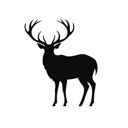 European Red Stag - Book an Endorsed Hunt