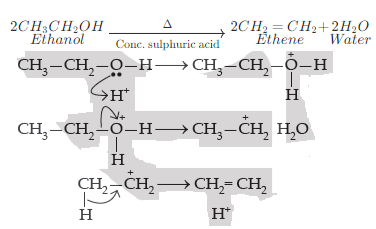 Carbon And Its Compounds Important Questions for CBSE Class 10 Science ...
