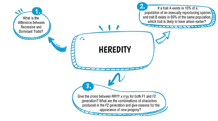 Heredity Important Questions for CBSE Class 10 Science Chapter 8