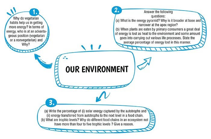 Our Environment Important Questions for CBSE Class 10 Science Chapter 13