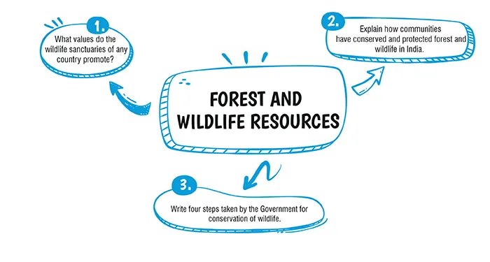 Forest and Wildlife Resources Important Questions for CBSE Class 10 ...