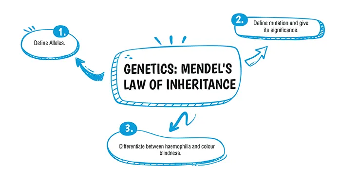 Genetics: Mendel's law of Inheritance Important Questions for ICSE ...
