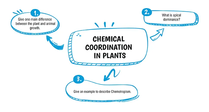Chemical Coordination in Plants Important Questions for ICSE Class 10 ...
