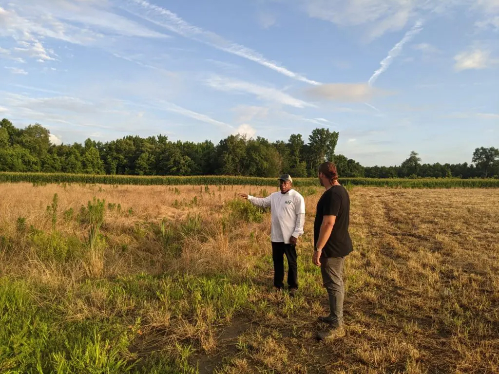 TSOA / The School of Architecture