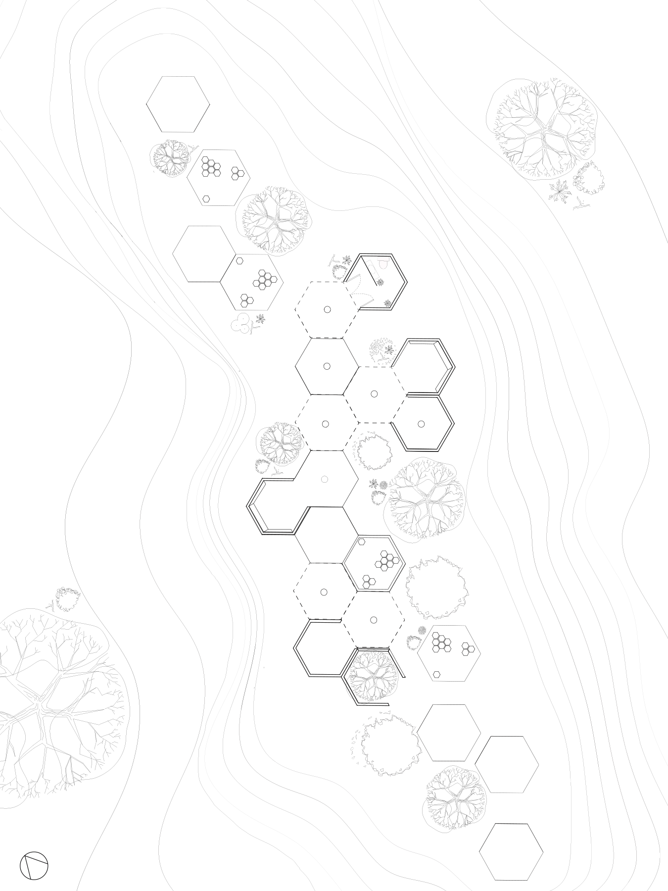 TSOA / Immersion Program