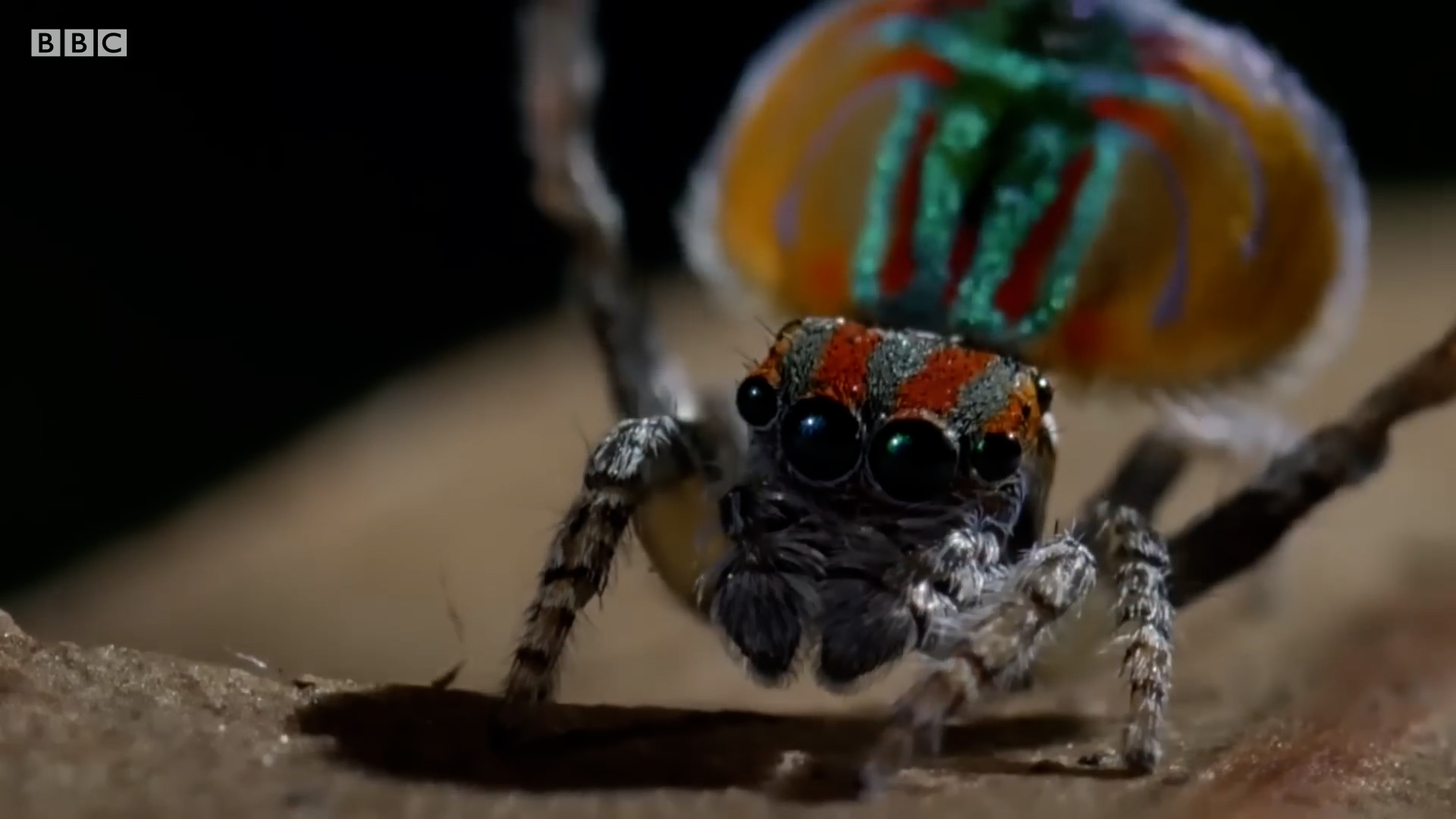 Real-Time VFX References/Inspirations - Page 2 - Real Time VFX