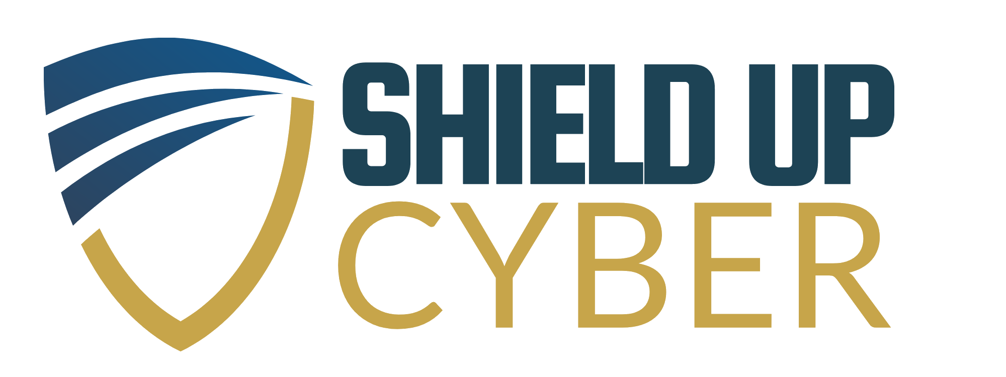 Shield Up Cybersecurity Assessment