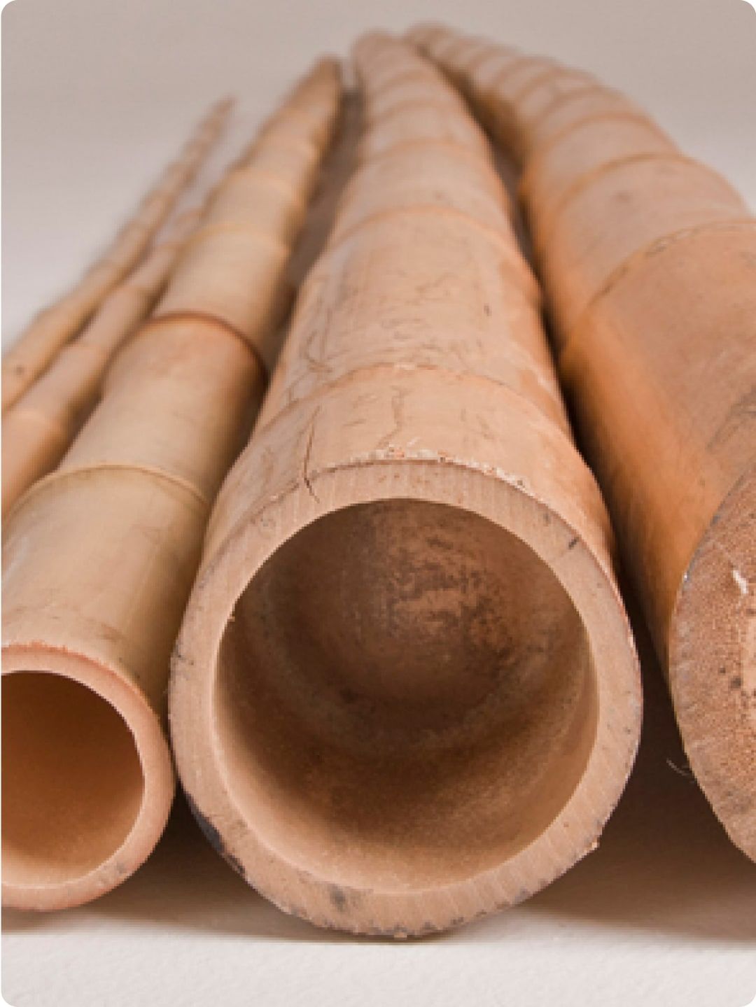 Bamboo Poles & Stakes