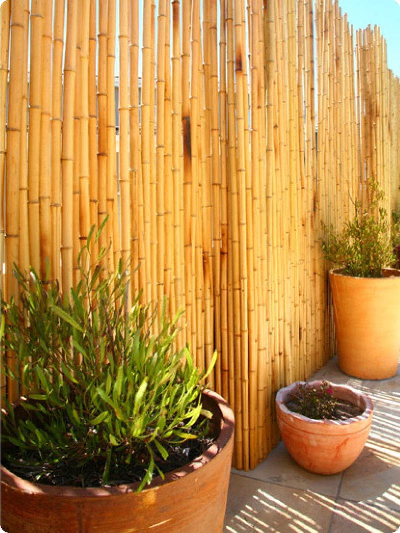 Bamboo Poles & Stakes