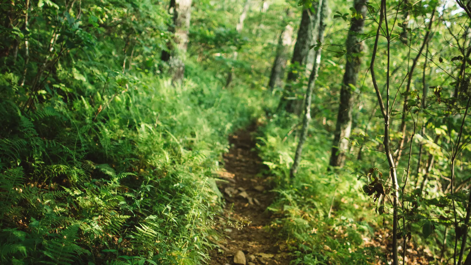 Timberroot Adventure Blog - Plan your Next Adventure
