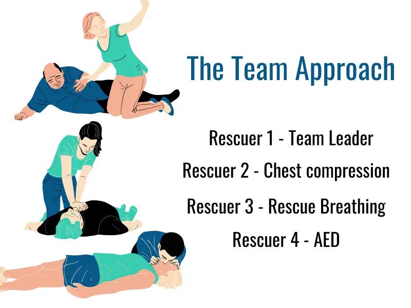 Basic Life Support (BLS) Study Guide - CPR Select