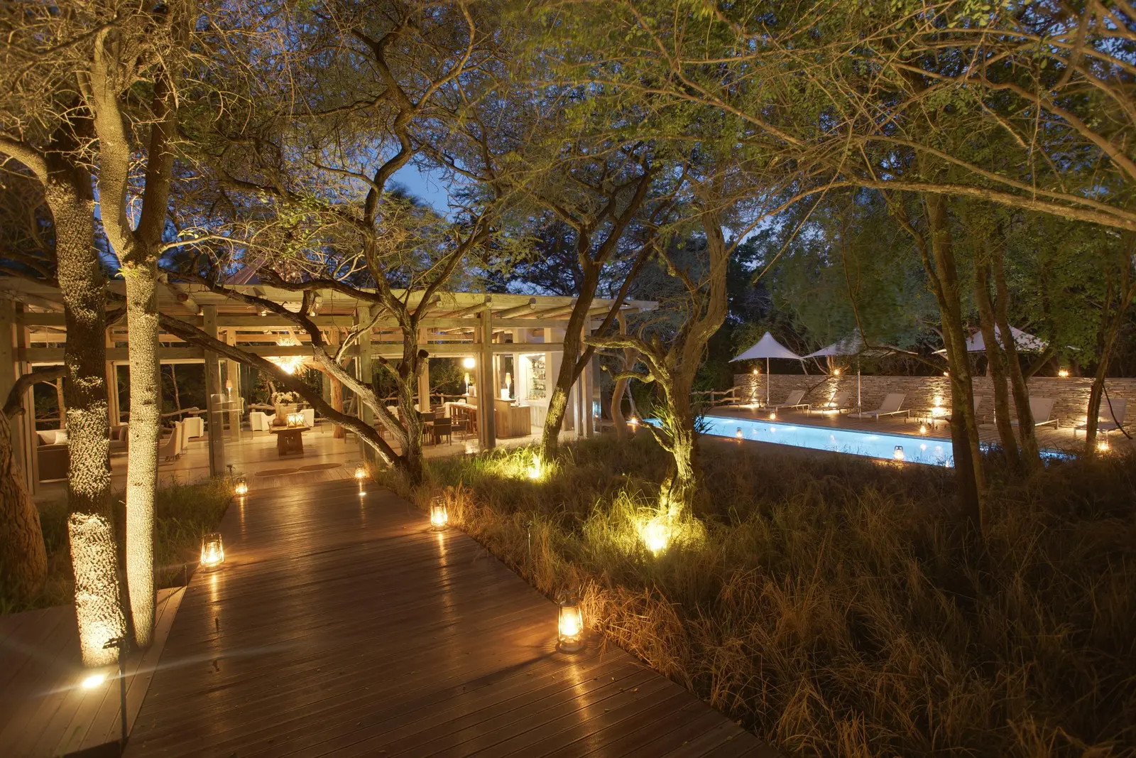 Kapama Game Reserve Safaris - Tours, packages and lodging