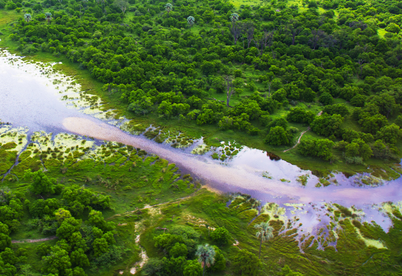 African Safari articles - Green Season: Africa's Biggest Secret