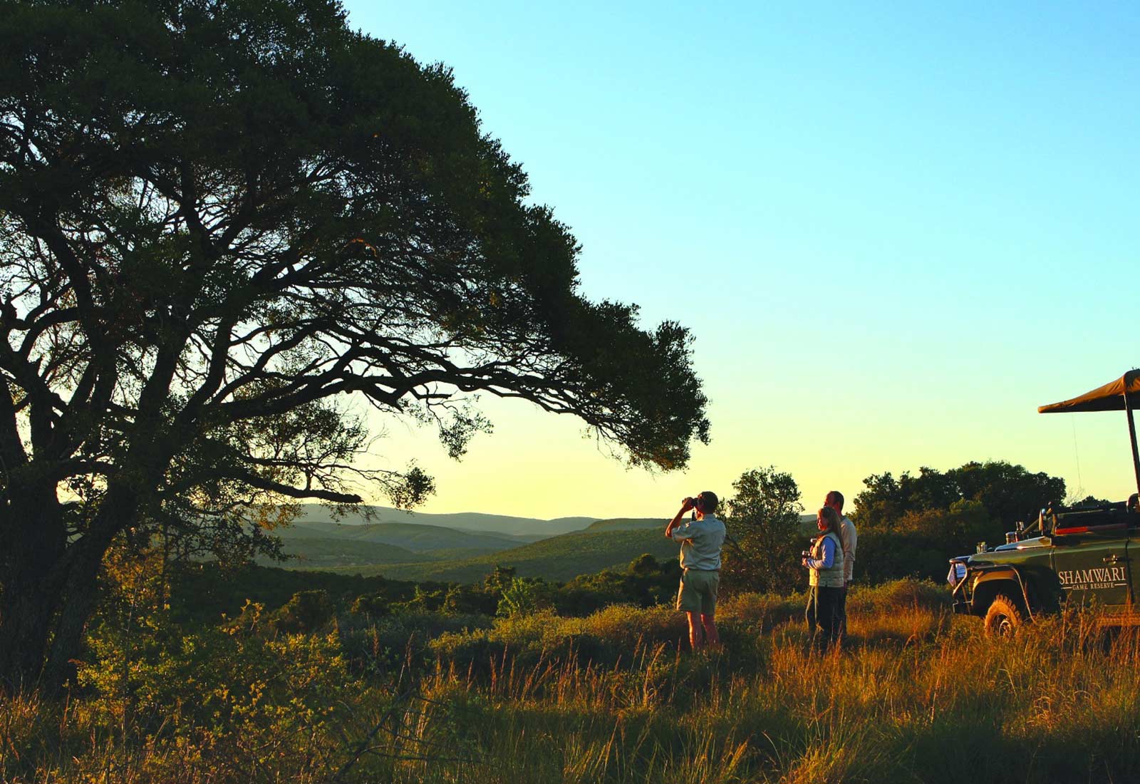 African Safari articles - Top 5 Safari Lodges in Shamwari Private Game ...