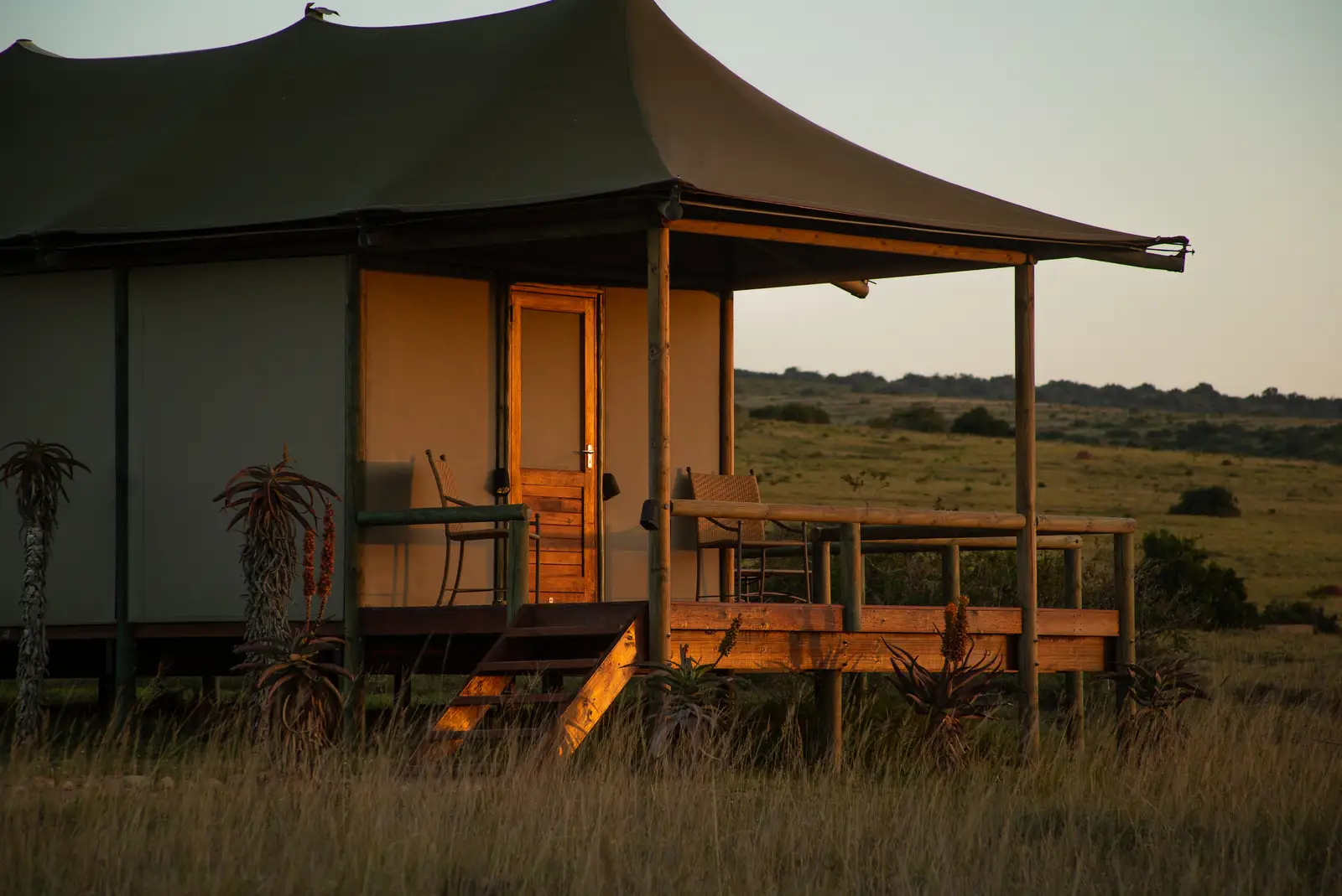 Amakhala Game Reserve Safaris - Tours, packages and lodging